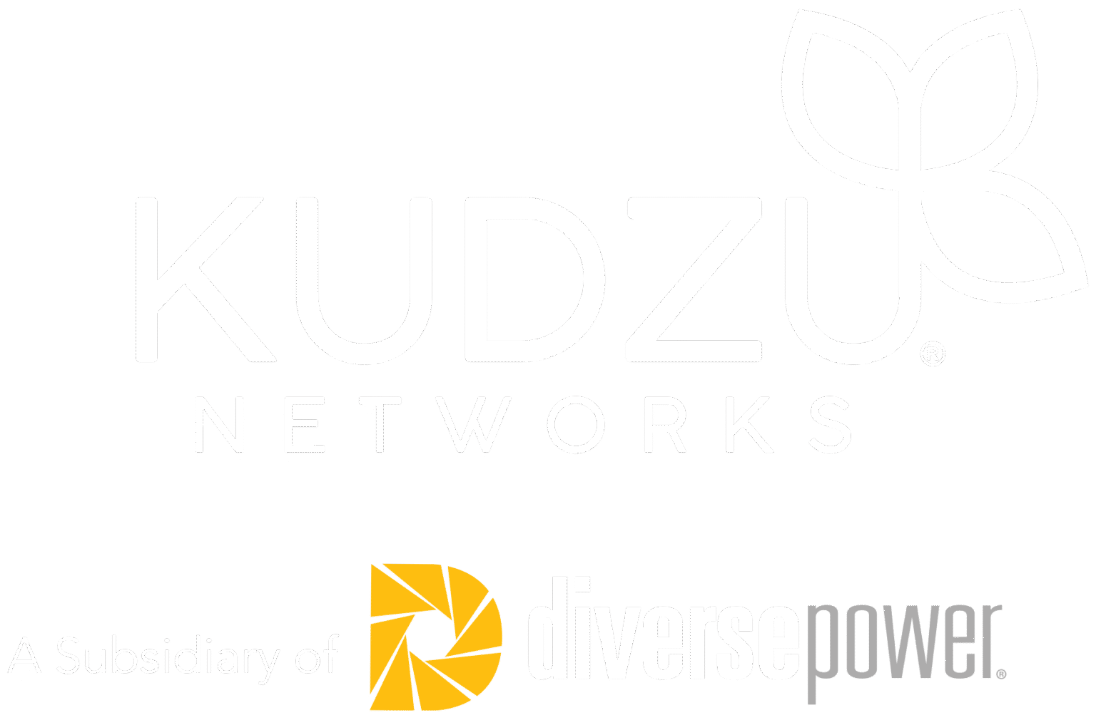 Reliable Fiber Internet Service | Kudzu Networks | Fast & Affordable